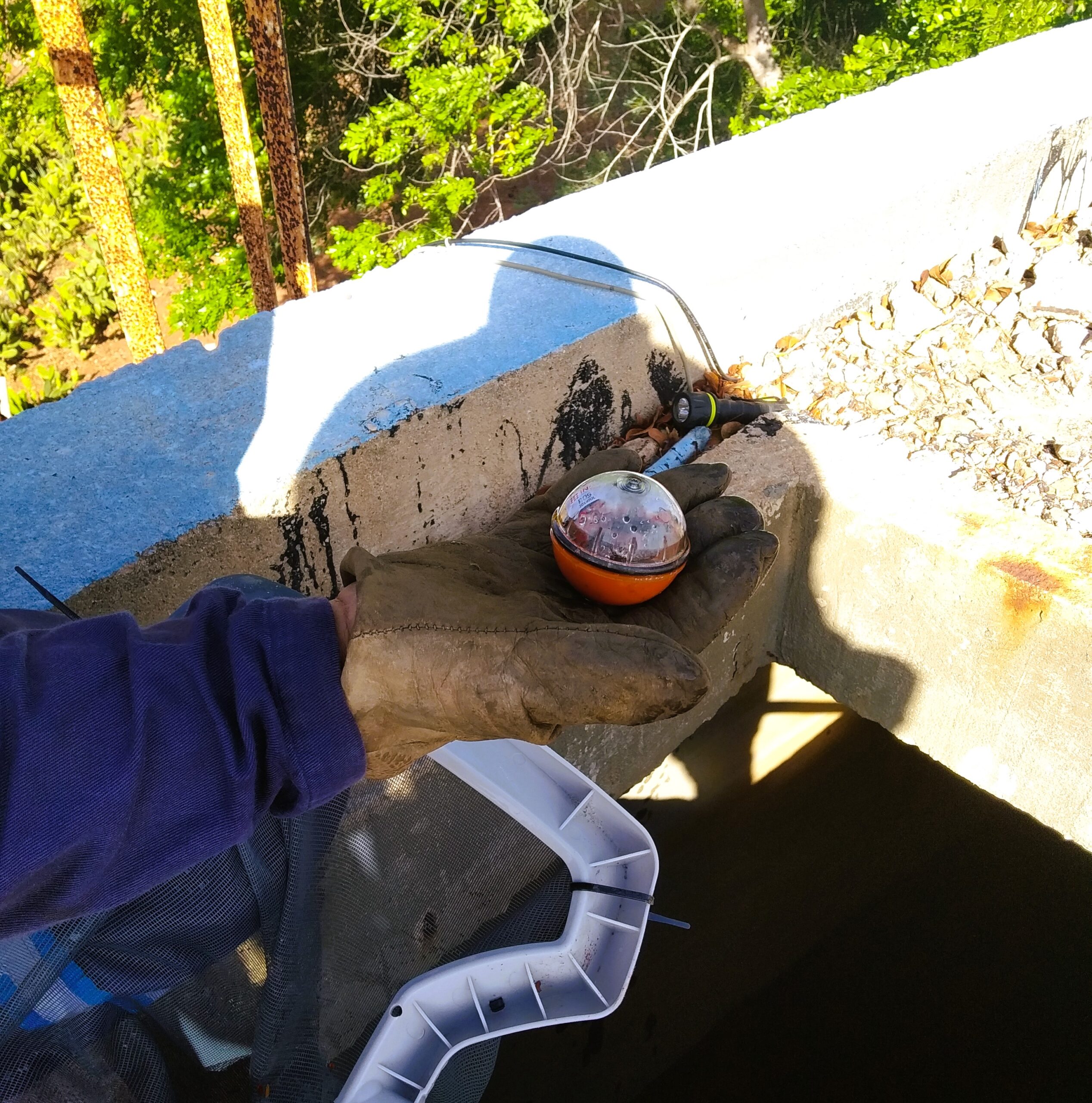 A Tecnologia Pipers® da INGU e a Parceria Exclusiva com a Orion no Brasil | Orion